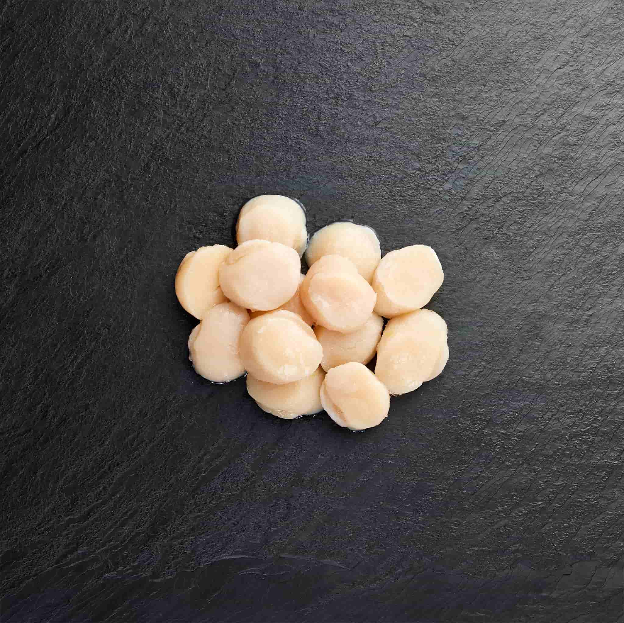 Japanese Scallops | Sustainably Sourced and Frozen