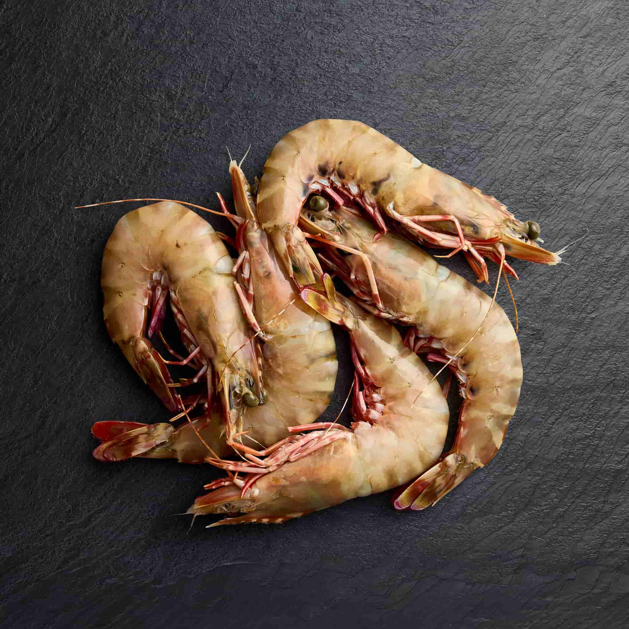 Local Skull Island Tiger Prawns | Premium Quality Seafood